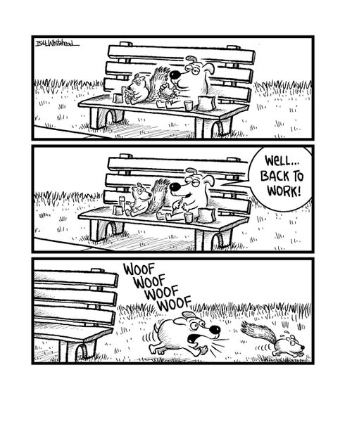 Staff Picks - CartoonStock