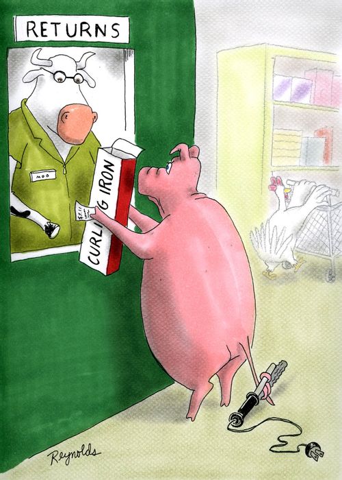 Staff Picks - CartoonStock