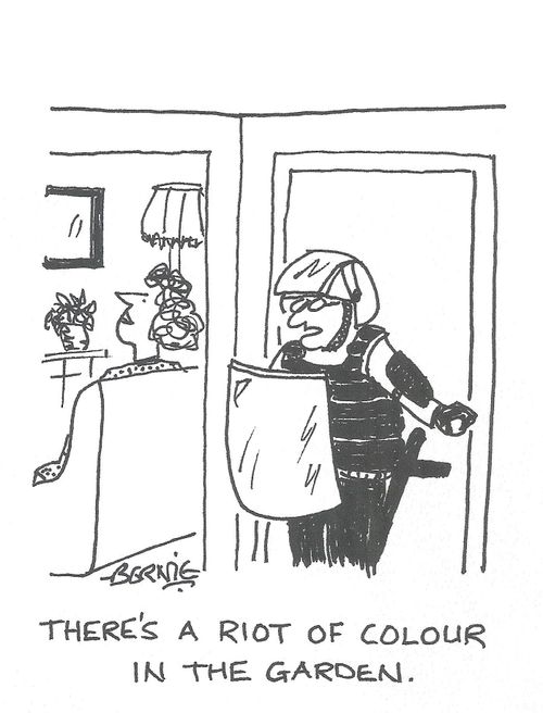 Staff Picks - CartoonStock