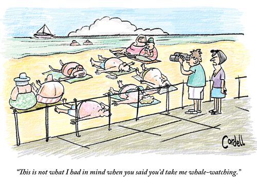 Staff Picks - CartoonStock