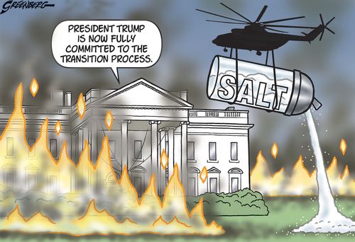 Staff Picks - CartoonStock