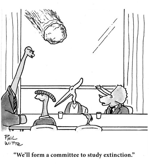 Staff Picks - CartoonStock