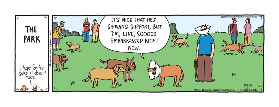 Cartoonists - CartoonStock
